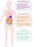 Provella Probiotics Dietary Supplement for Women! - The Mommyhood ...