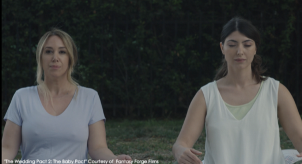 The Wedding Pact 2: The Baby Pact Starring Haylie Duff Now on VOD ...